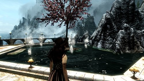 Dovahkin's Wolf Pack Den - Other - LoversLab