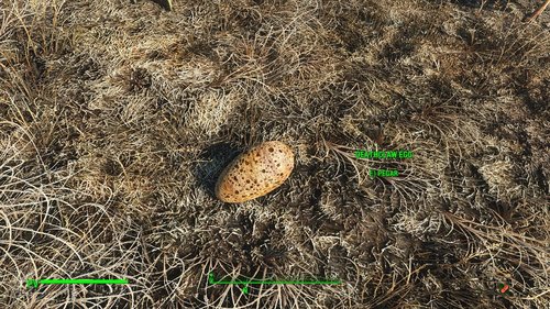 AAF Family Planning Enhanced Addon Pack - Sex Effects - LoversLab