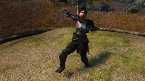 ther1ppers Unarmed Combat Poser - Other - LoversLab
