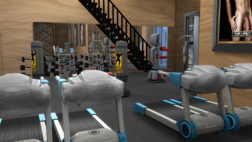 Cubman's Muscle Gym & Spa Lot - Lots - LoversLab