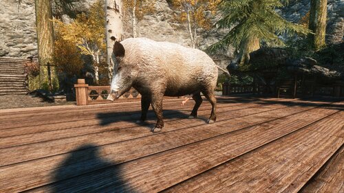 Dick For Mihails Wild Hog Models And Textures Loverslab