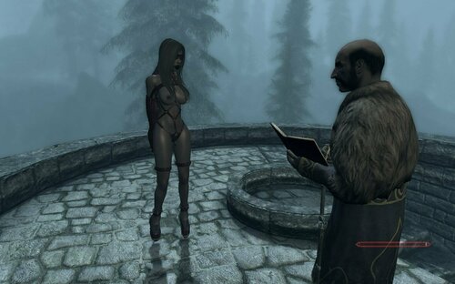 Devious Devices Luxury Collection And Bikini Armors Patches For Vanilla And Various Mods Sexual
