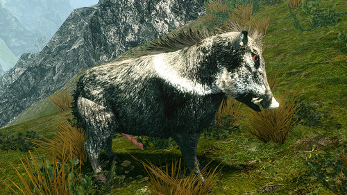 Boars And Daggerbacks Always Erect Misc Sex Loverslab