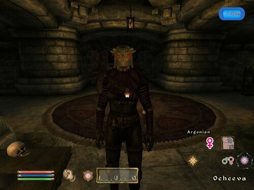 Dukky Actor Hud Other Loverslab