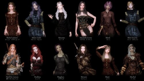 Ap All Female Npcs Replacer V1 01 Reupload Regular Mods Loverslab