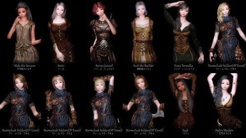 Ap All Female Npcs Replacer V1 01 Reupload Regular Mods Loverslab