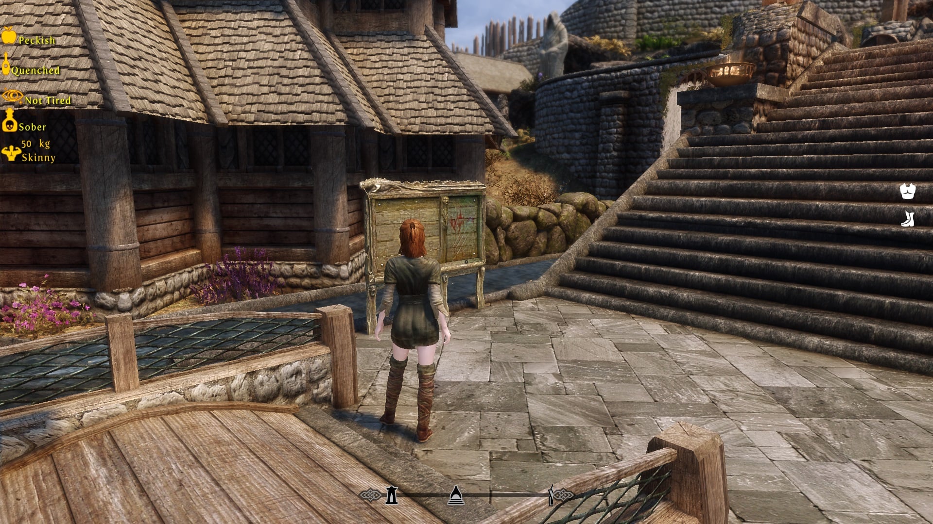 Looking for the name of an HUD mod - Request & Find - Skyrim Non Adult ...