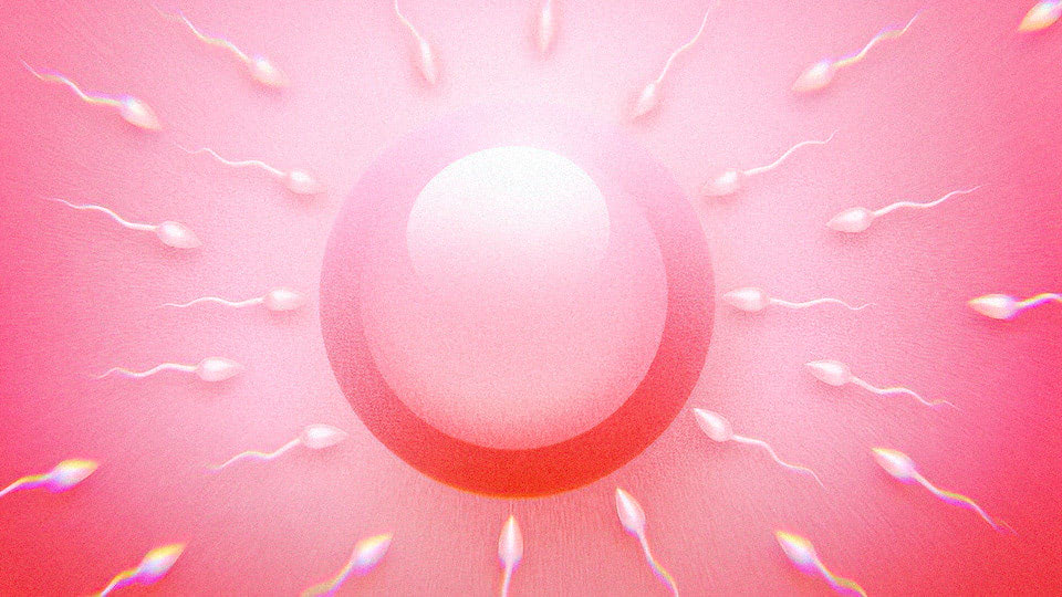 [Mod][XCL] [Superseded] Temp Breeder Pill Mod - X-Change Life - LoversLab