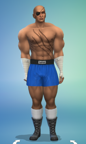 Wankwilly - Curvy Thick Chun Li, Sagat and Balrog - The Sims 4 - Sims ...