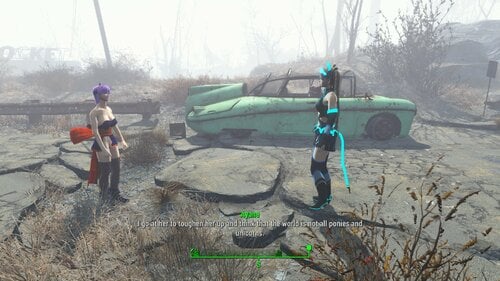 FO4 DOA Followers Expanded Follower dialogues Add ons/Patches ...