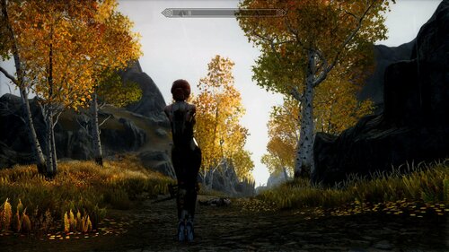 Alternate Perspective - Deviously Cursed Loot - Adult Mods - LoversLab