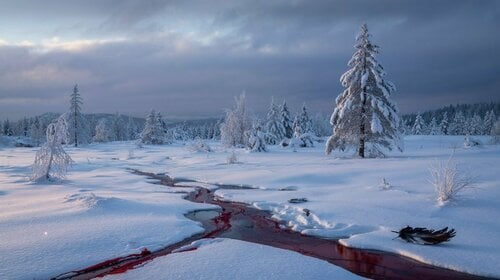Snow & Blood CAS Background - Other - LoversLab