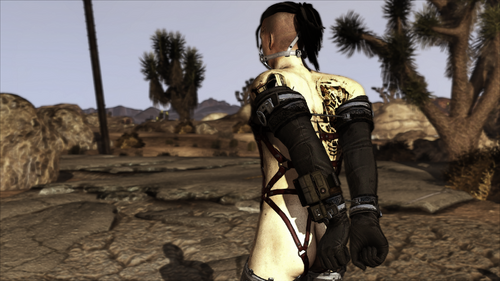 Devious Mojave - Devious Devices for Fallout New Vegas (Beta Release ...