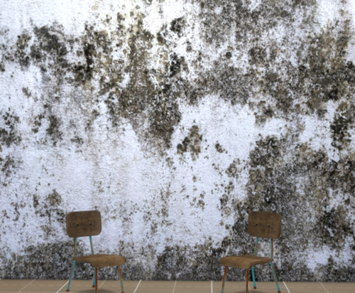 Dirt Wall Pack - Objects - LoversLab