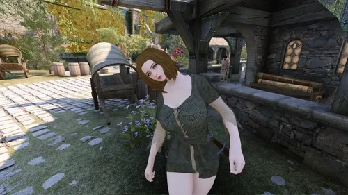 (Female) NPC Overhaul Maker (Linux) - Regular Mods - LoversLab