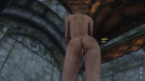 Cum Immersive More Closest Vagina Texture Sexlab Sex Effects Loverslab