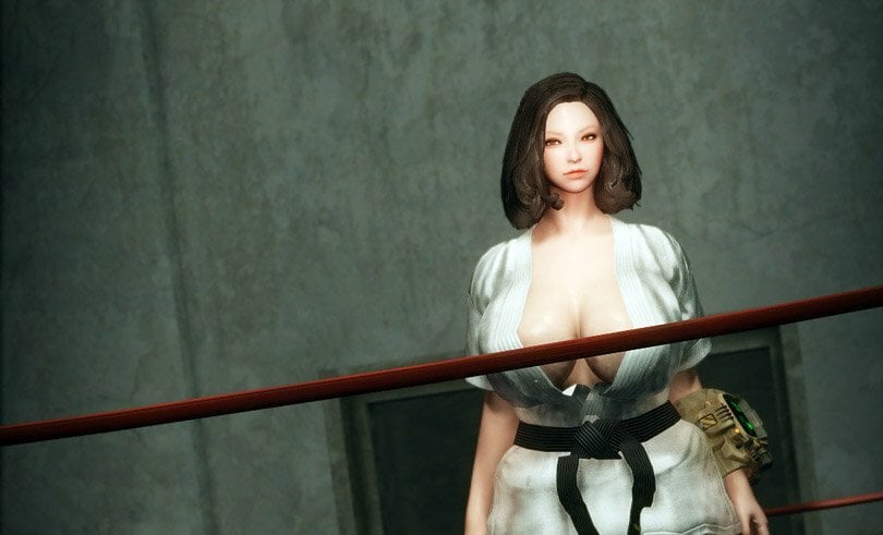 Rematch Fallout In Skyrim Loverslab