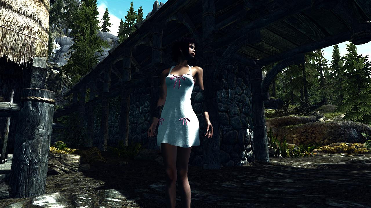 Why My Mesh Dont Render Properly Skyrim Technical Support Loverslab