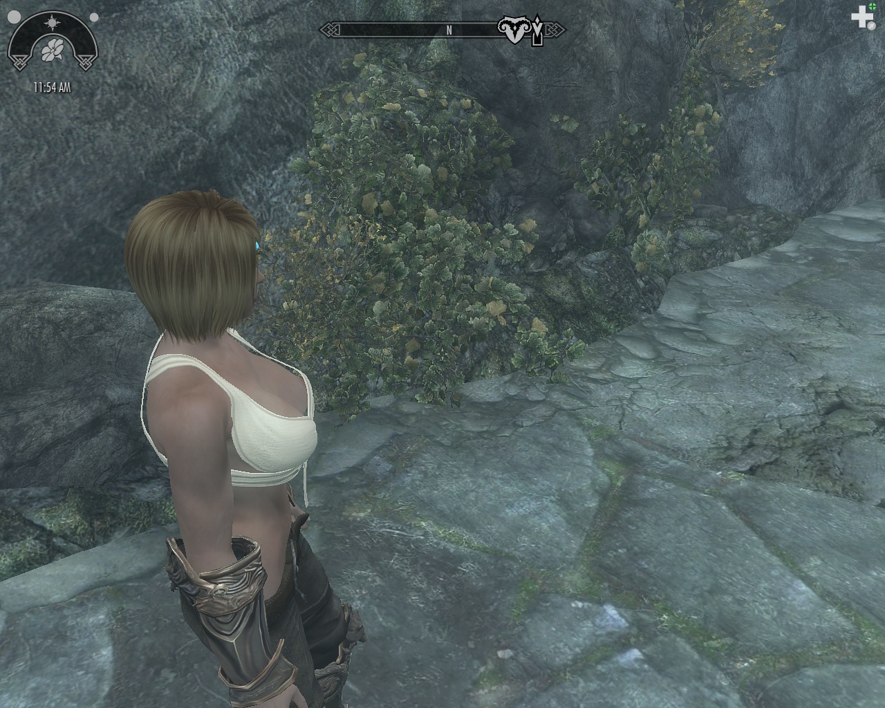 Help With Custom Armor Invisible Body When Wear It Skyrim Technical Support Loverslab