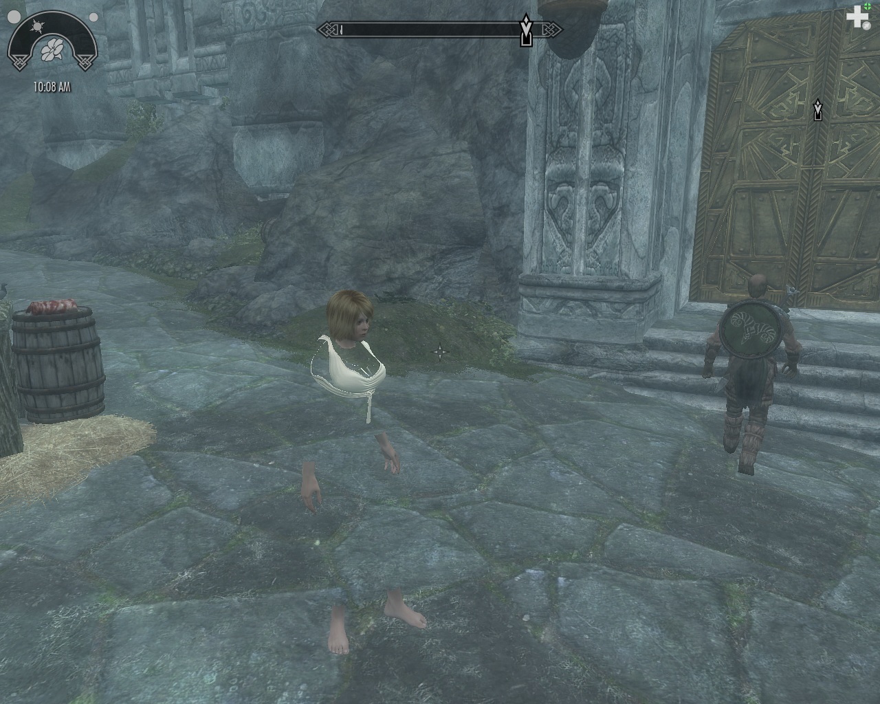 Help With Custom Armor Invisible Body When Wear It Skyrim Technical 