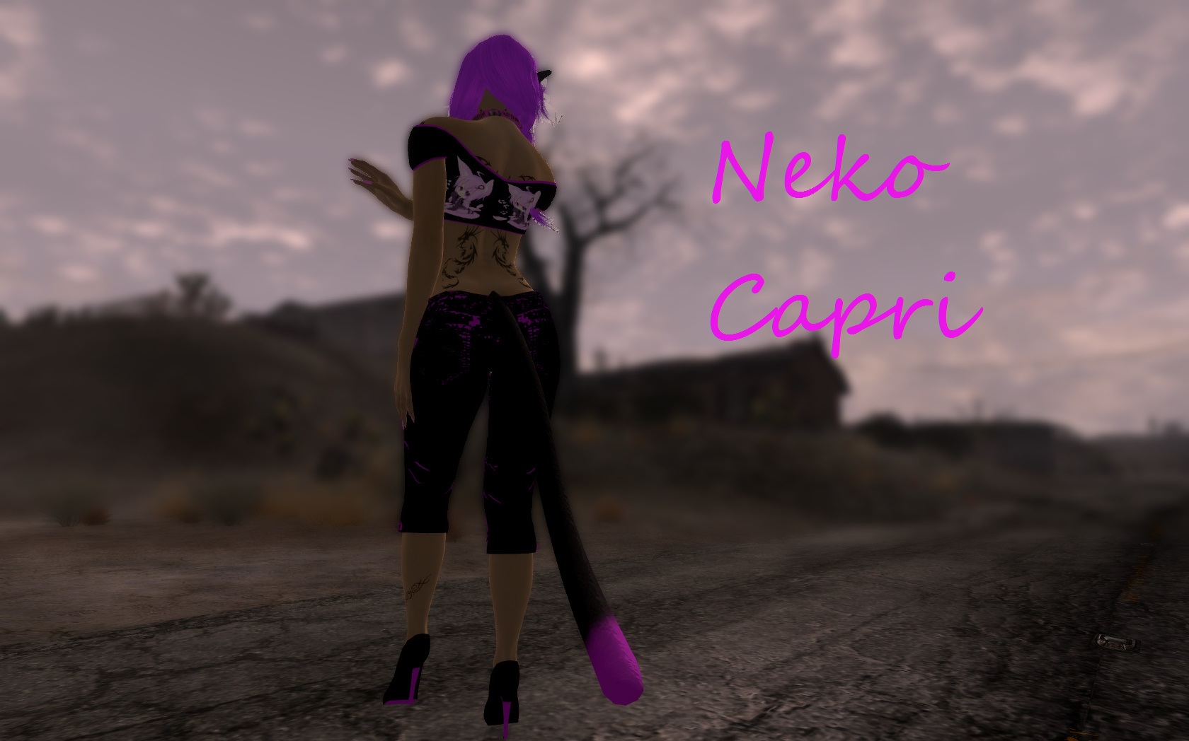 The Nekomimi Project V11 Old Beta Version Only Use This If Your Pc Cannot Handle The New V2