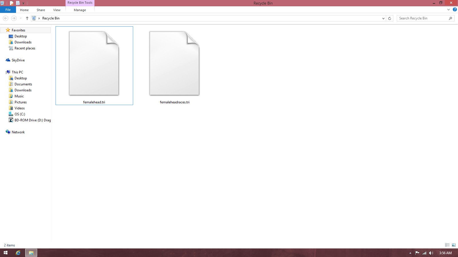 Unknown files? - Skyrim Technical Support - LoversLab