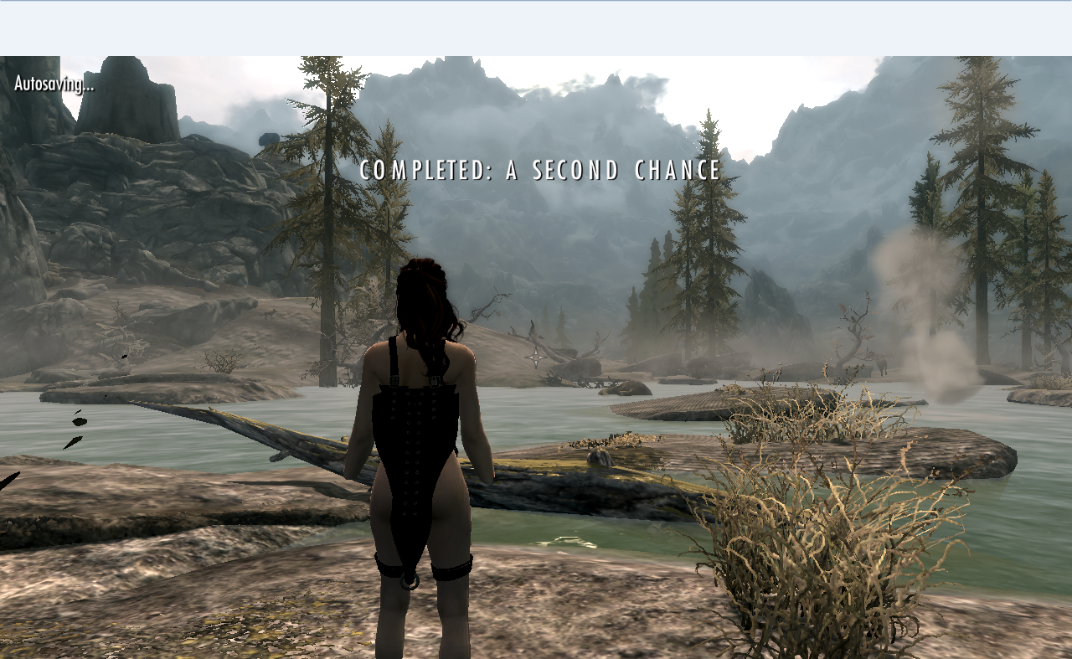 Animations Not Working Skyrim Technical Support Loverslab