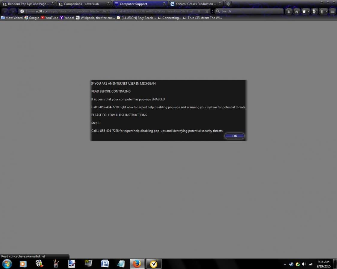 Random Pop Ups and Page Redirects - Technical Support - LoversLab