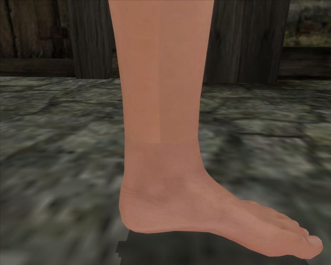 Problem With Body Textures Oblivion Adult Mods Loverslab 1234