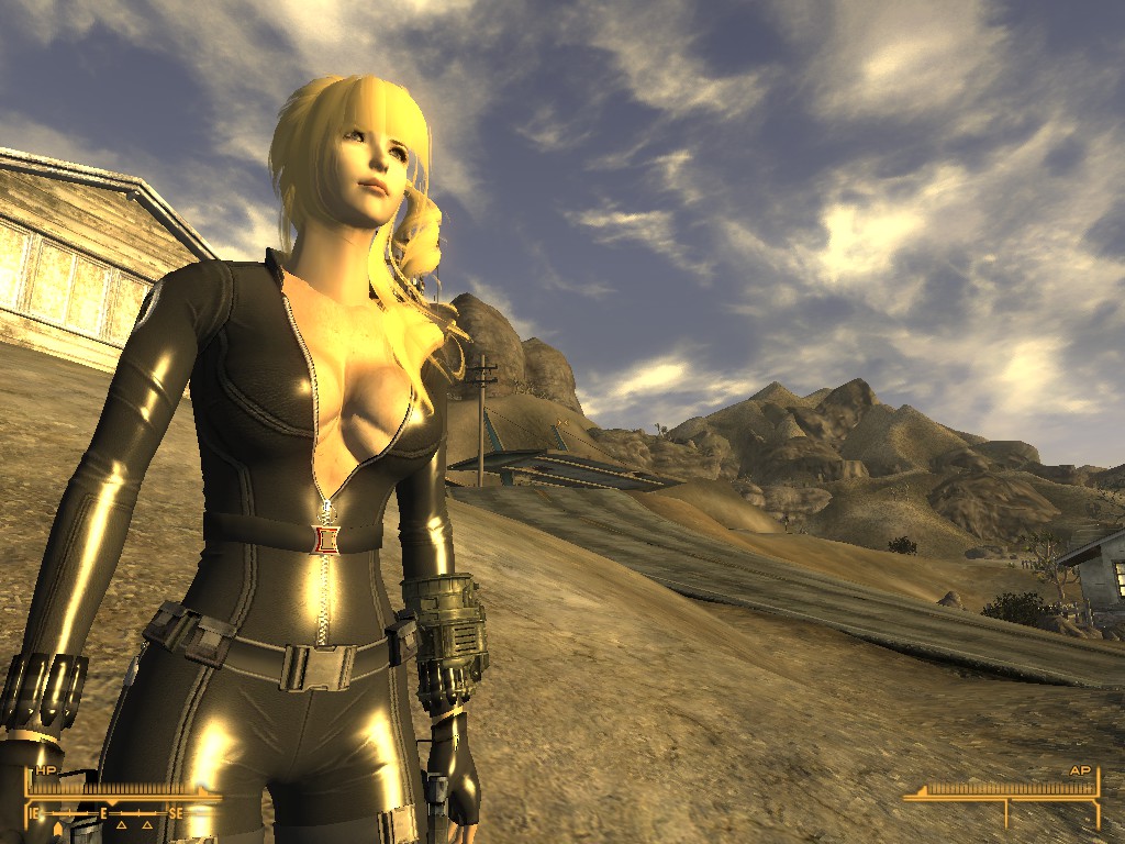 Proper Import And Export Settings For Armor Conversions Fallout