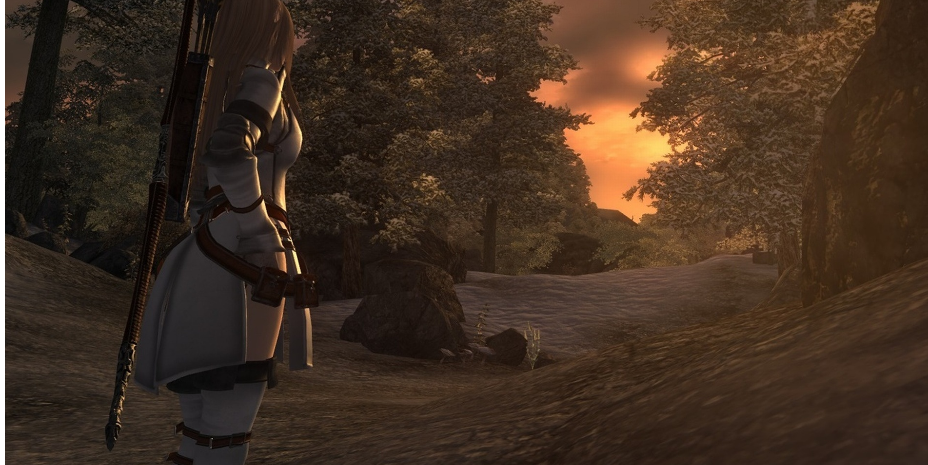 Oblivion Unidentified Mods Oblivion General Discussion Loverslab