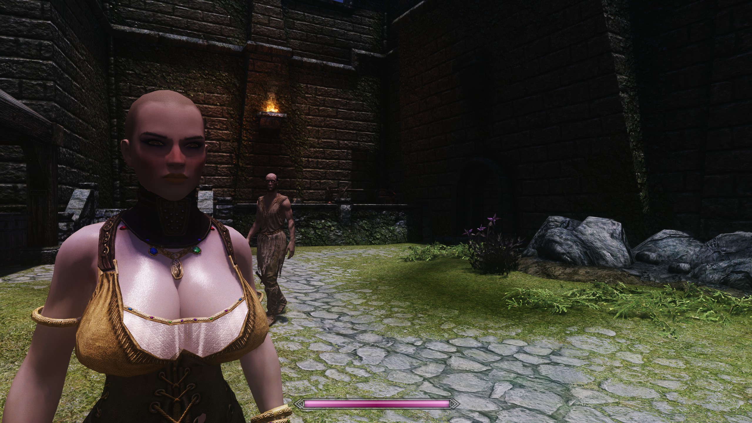 Dwarven Cyborg Collection And Biological Automaton Framework Page 2