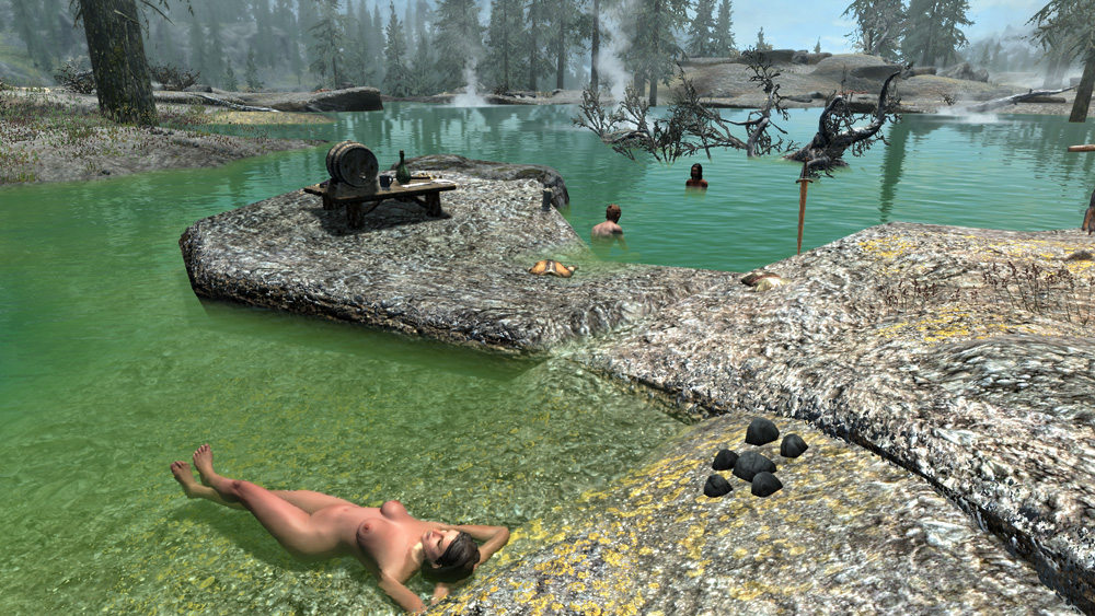 Does It Worth Buying Skyrim Just For Adult Mods Skyrim General Discussion Loverslab