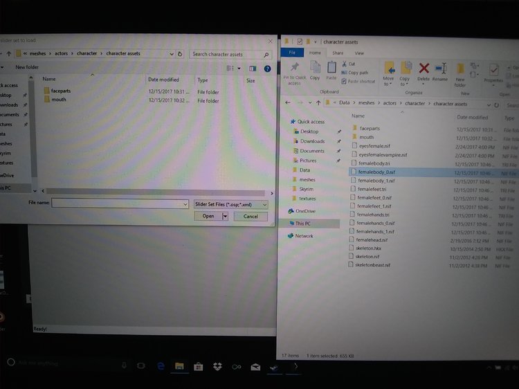 Bodyslide not prompting .nif files - Skyrim Technical Support - LoversLab