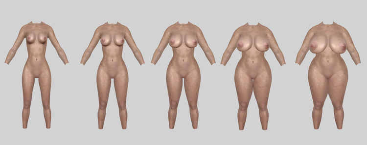 Bigger Beautiful Women For Cbbe Bodyslide Preset Downloads Skyrim