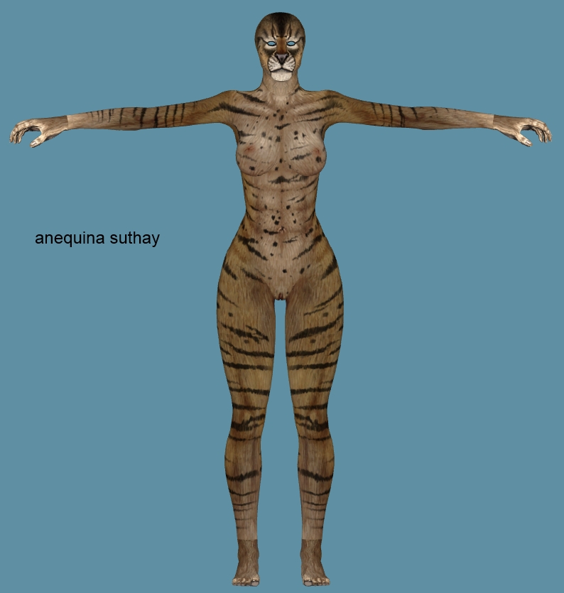 Alienslofs Khajiit Retexture For Hgec Request And Find Oblivion Adult And Sex Mods Loverslab