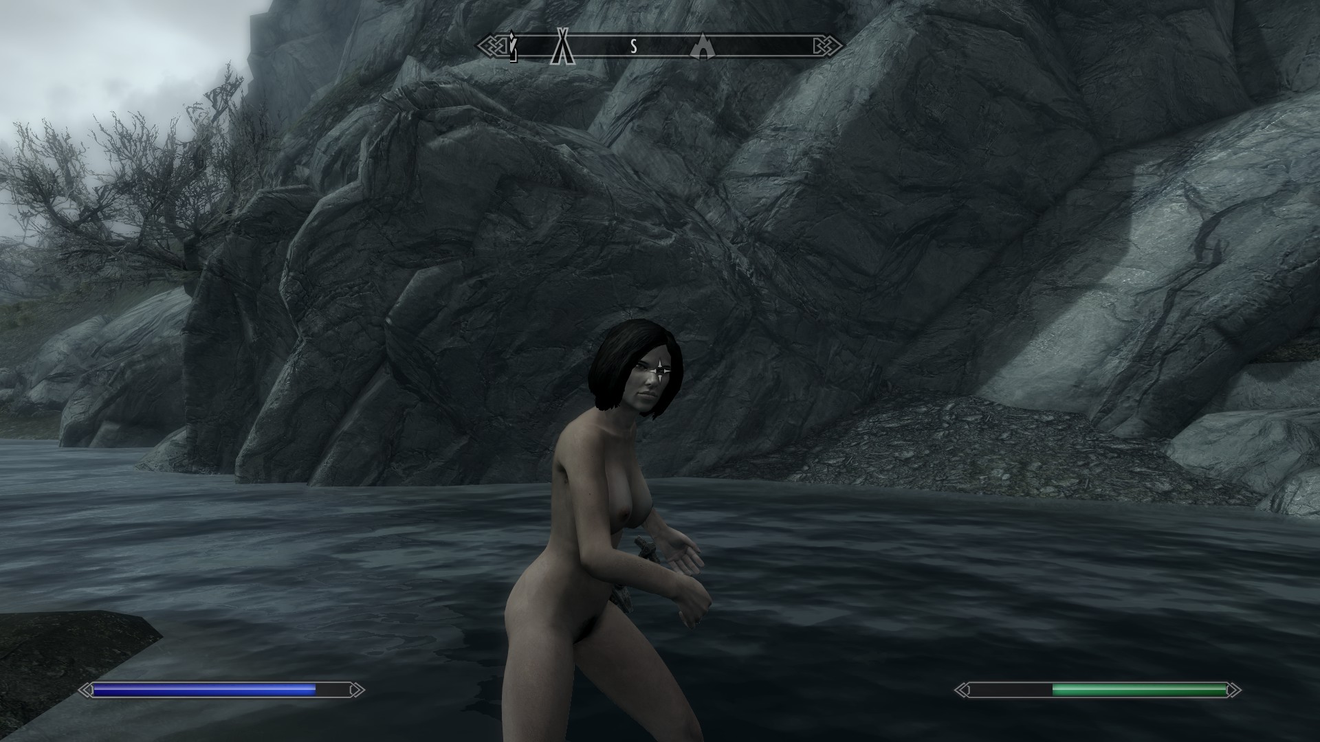 Weird Animation Bug Possibly Xp32 Skeleton Fnis And Fores New Idles