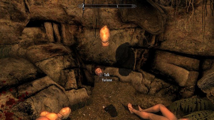Modded Followers Appear Invisible Technical Support Skyrim Special
