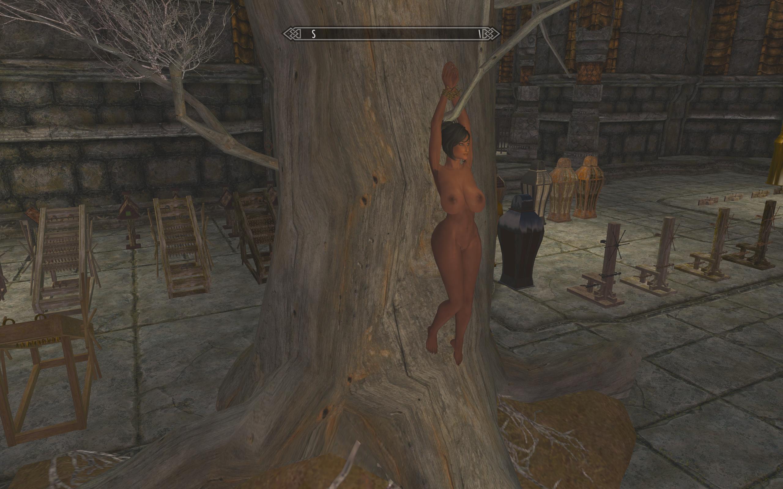 Zaz Animation Pack V8 0 Plus Page 17 Downloads Skyrim Adult And Sex