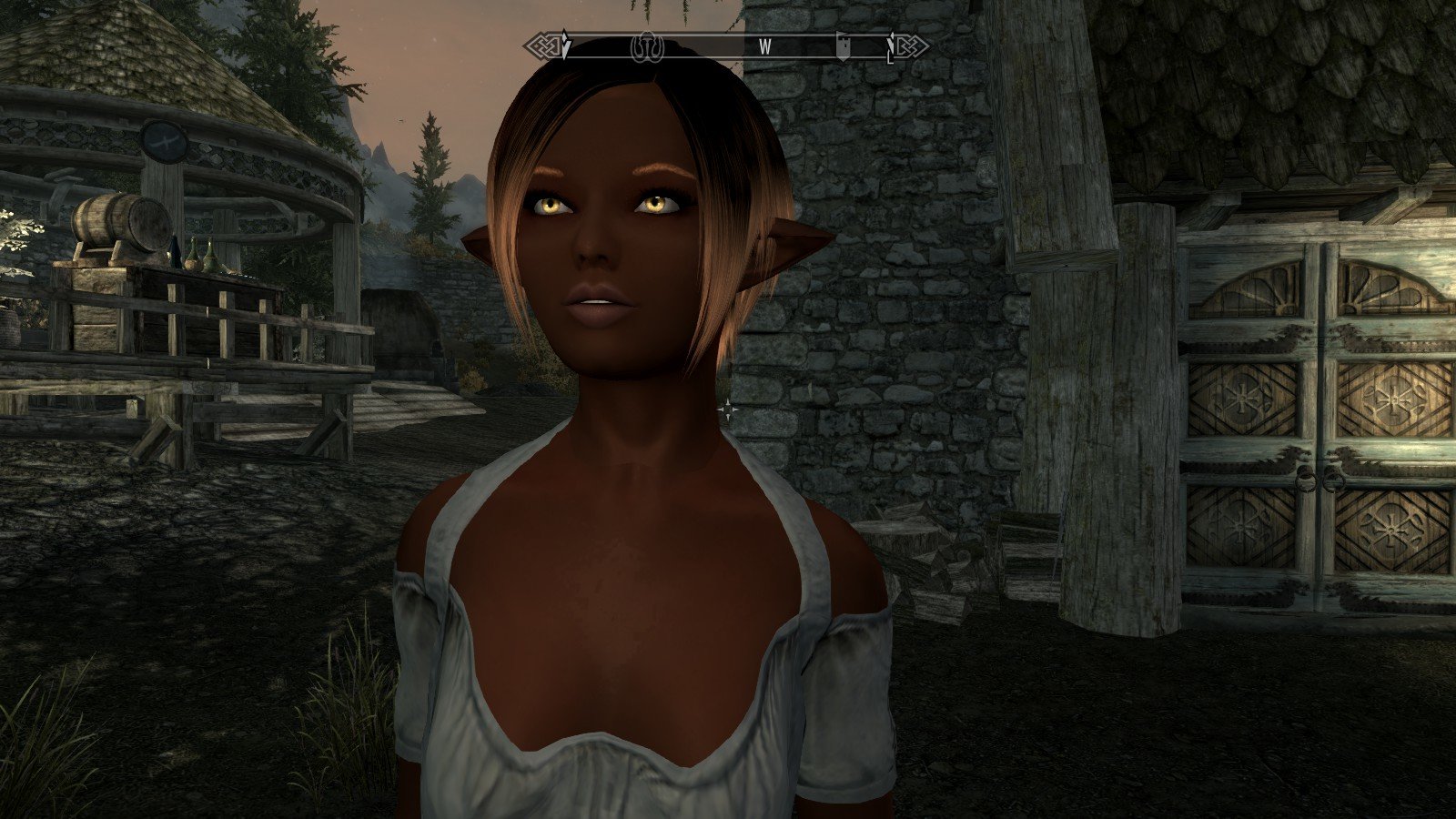 Followers Have Brown Faces After Awhile Skyrim Technical Support Loverslab