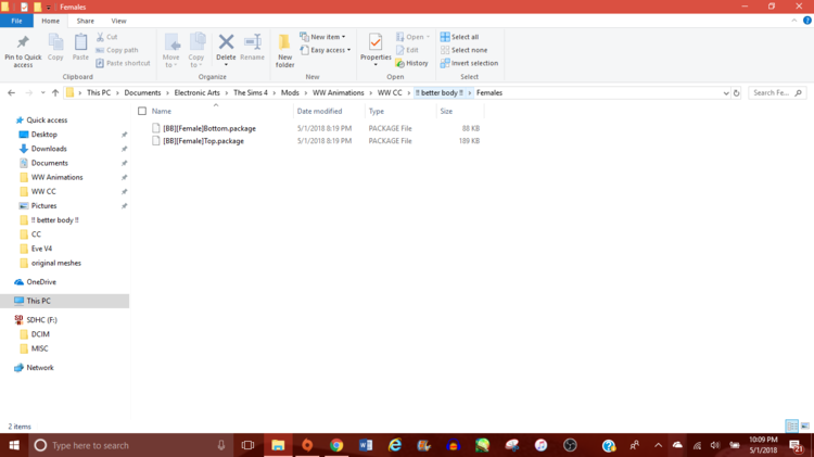 FIXED- Invisible Female body in CAS - The Sims 4 Technical Support ...