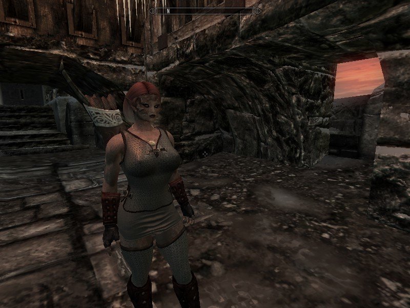 Uunp Remodeled Armor Female Guard Armor Has Pink Textures Skyrim Technical Support Loverslab 