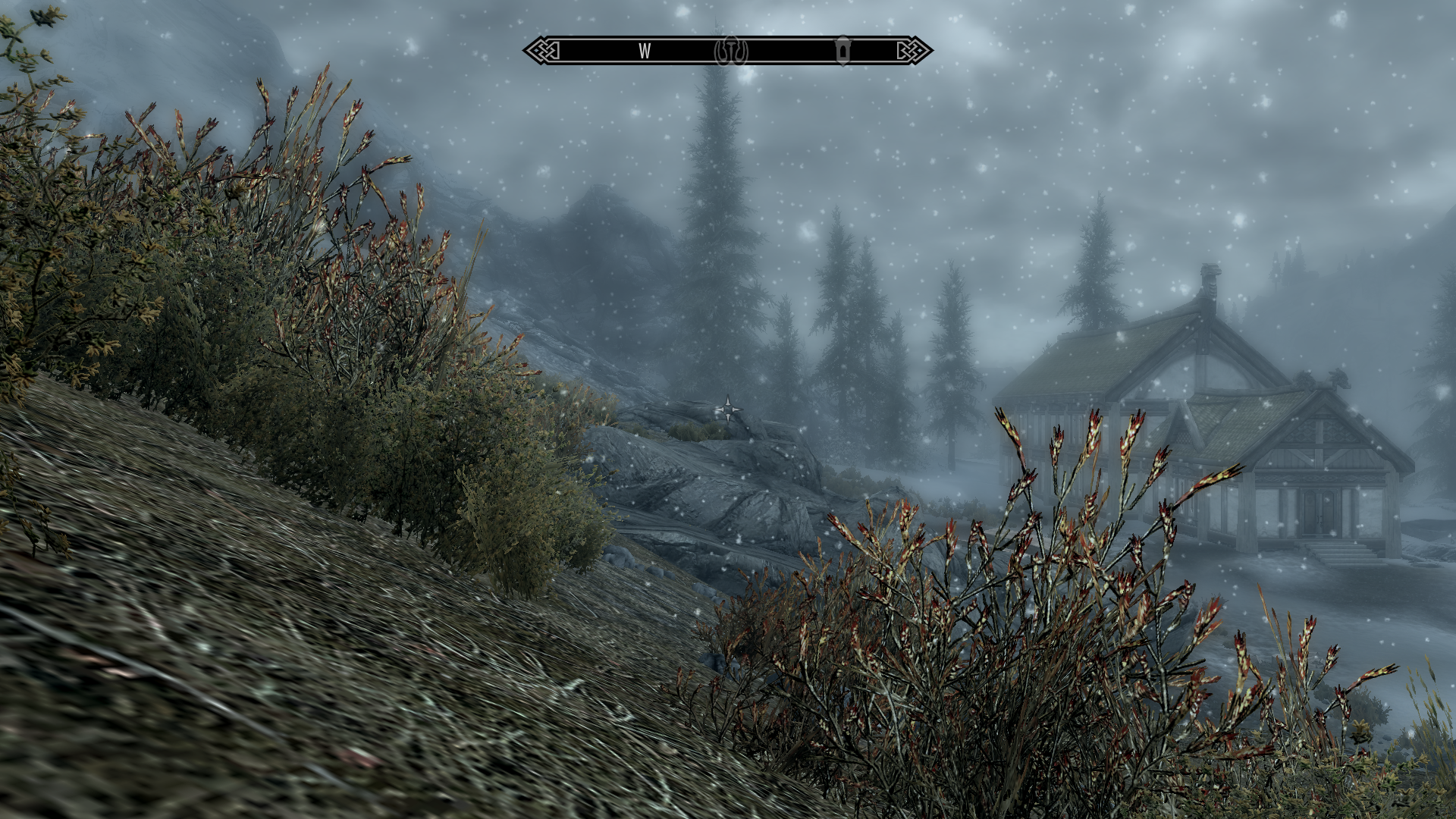 Issue with first person view - Skyrim Technical Support - LoversLab