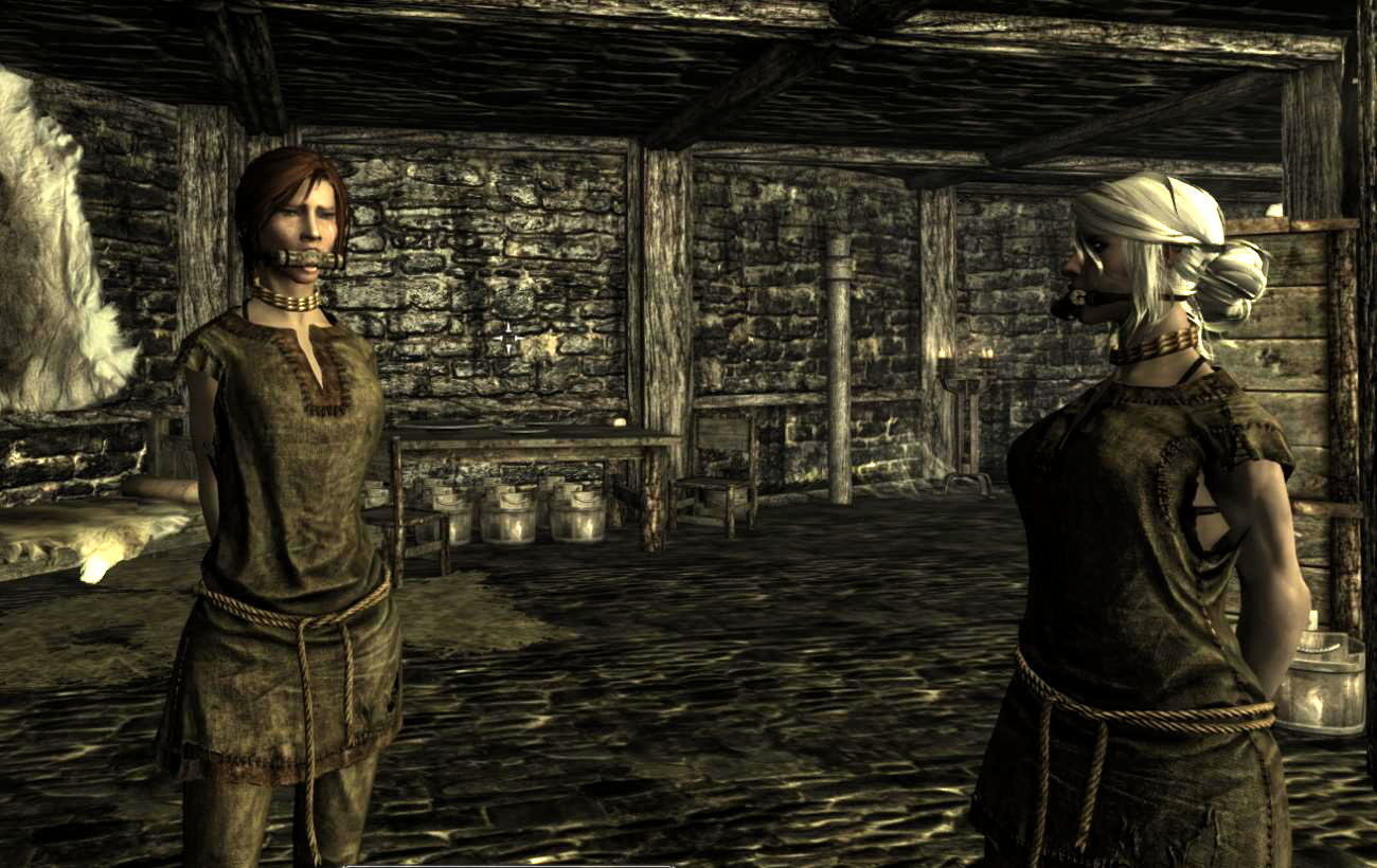 Patchwork: Patching the PO patch for Sexlab Solutions - Random thoughts ...