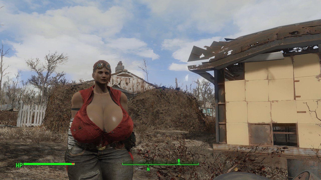 Issues With Extreme Ab Presets Request And Find Fallout 4 Adult And Sex Mods Loverslab