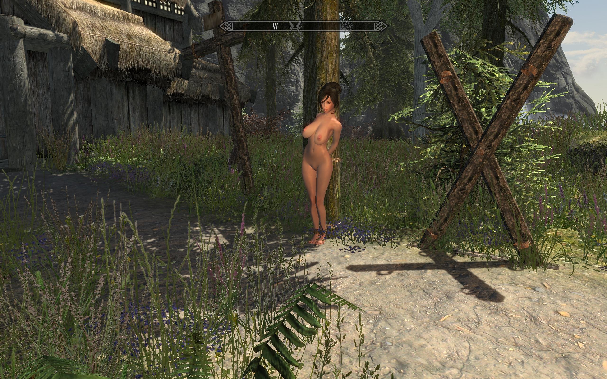 Zaz Animation Pack V8 0 Plus Page 79 Downloads Skyrim Adult And Sex