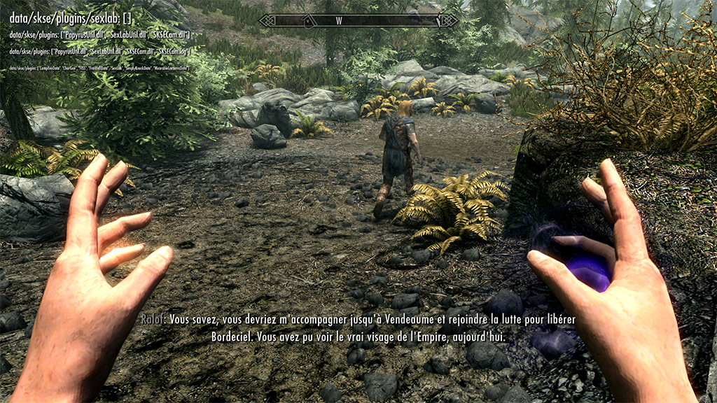 Sexlab Se Sex Animation Framework V1 66b 01 18 2024 Page 123 Downloads Sexlab