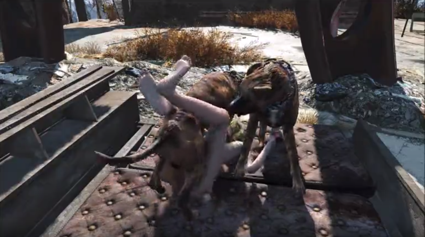 What Mod Is This Adult Edition Page 29 Request And Find Fallout 6606