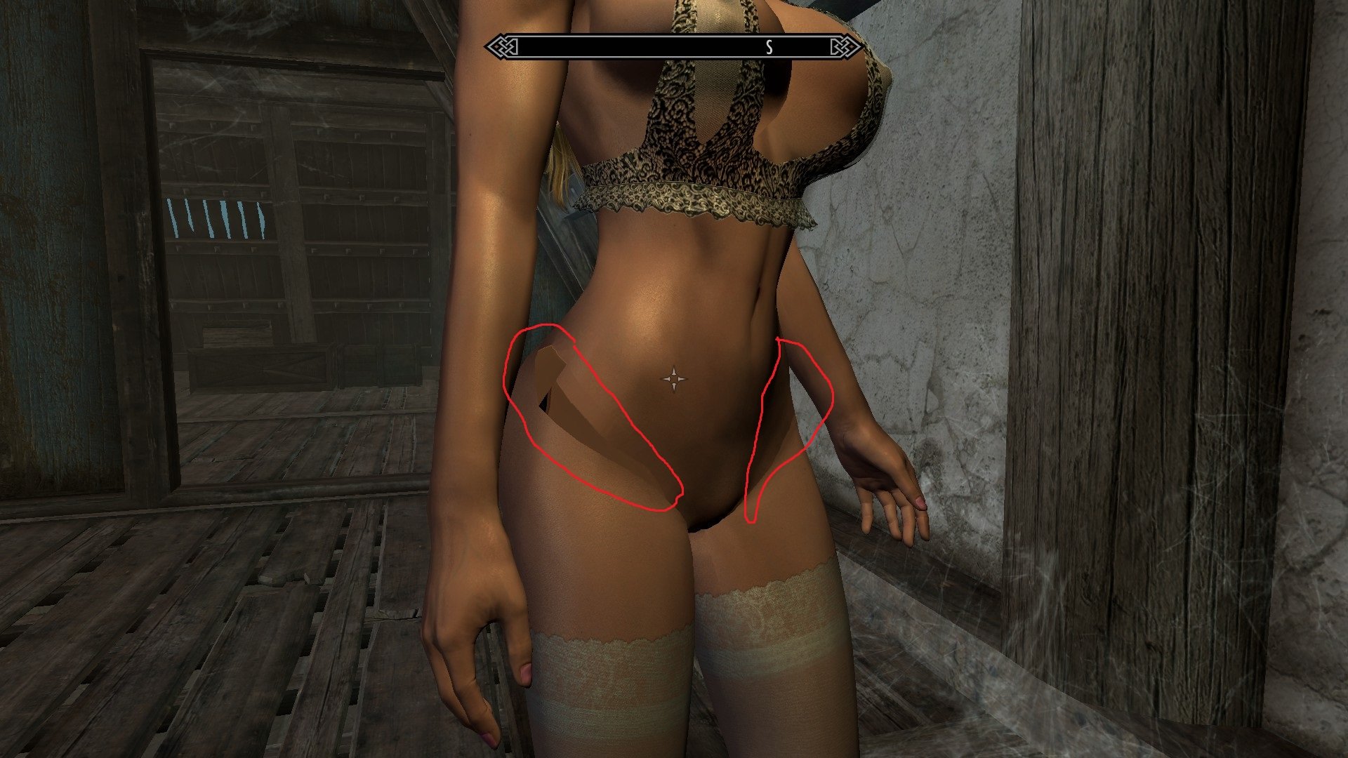 Weird Graphic Glitch Appeared Skyrim Technical Support Loverslab