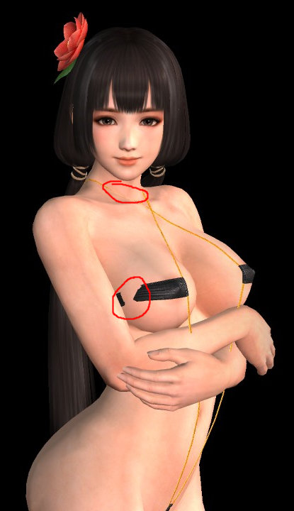 Char Transformer Clipping Issue Dead Or Alive 5 Loverslab